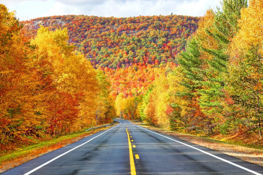 4 Reasons Why You Should Travel In the Fall - The O'Donnell Financial Group